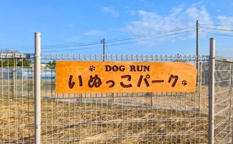 出雲エリアで愛犬と行きたい！犬連れOKのお出かけスポット14選 | JIMOHACK（ジモハック）出雲版