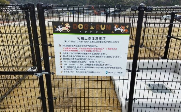 出雲エリアで愛犬と行きたい！犬連れOKのお出かけスポット14選 | JIMOHACK（ジモハック）出雲版